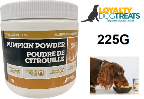 King of the North Auction